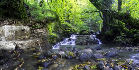 Healing waters of Gabala: "Gamarvan", "Shongar", "Yengija" | AZERBAIJAN ...